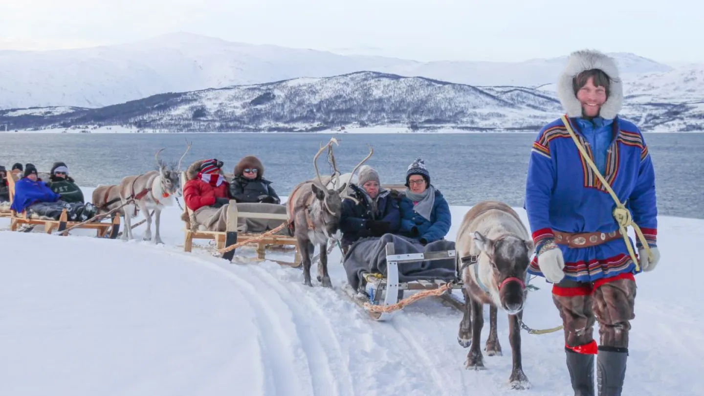 Long Reindeer Sledding, Reindeer Feeding and Sami Culture | iTicket